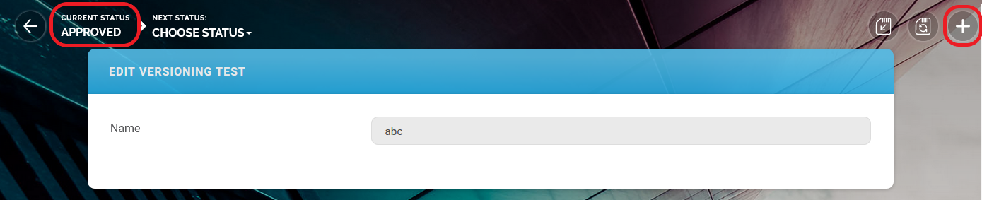 How to Version an Entity Record